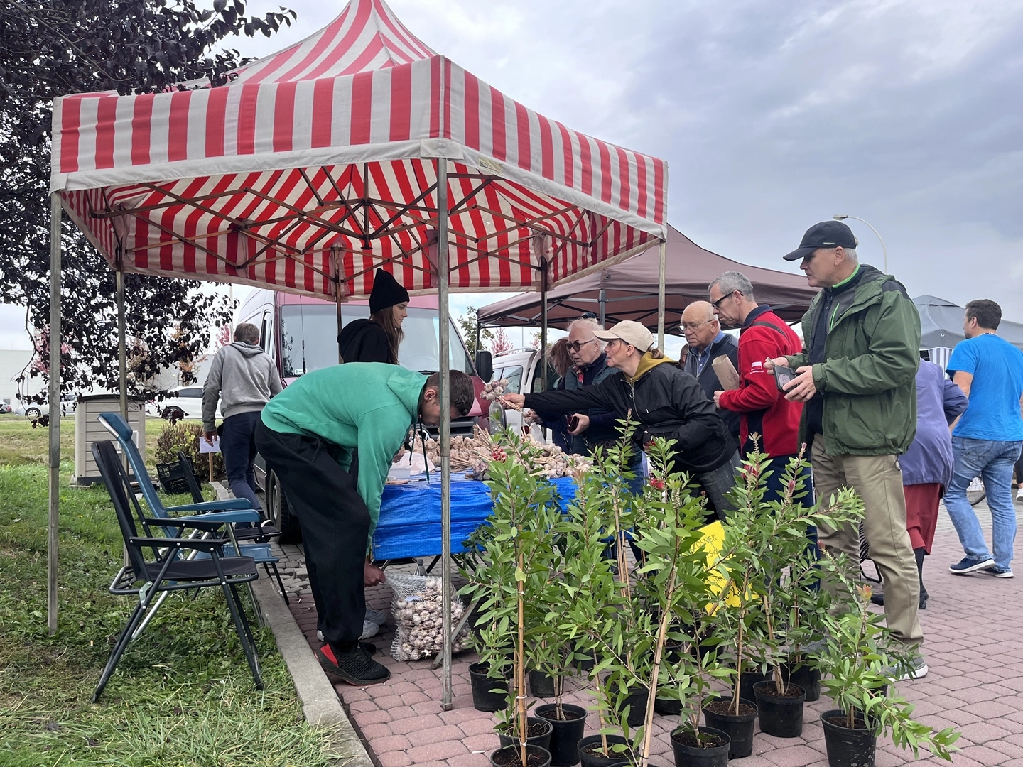 W sobotę Podkarpacki Bazarek w Parku Papieskim